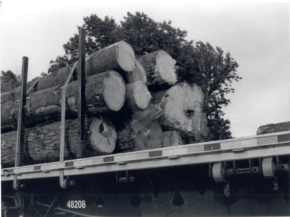 Hazards in Logging Truck Accidents in North Carolina — Charlotte Injury ...