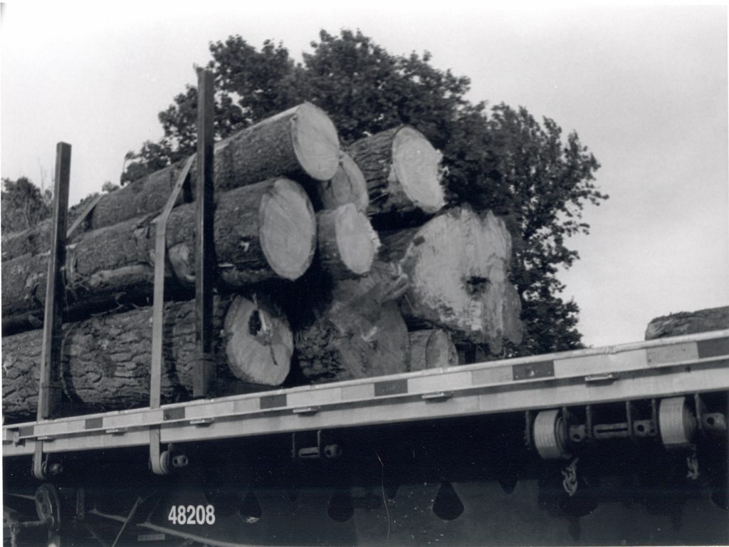 Hazards in Logging Truck Accidents in North Carolina — Charlotte Injury ...